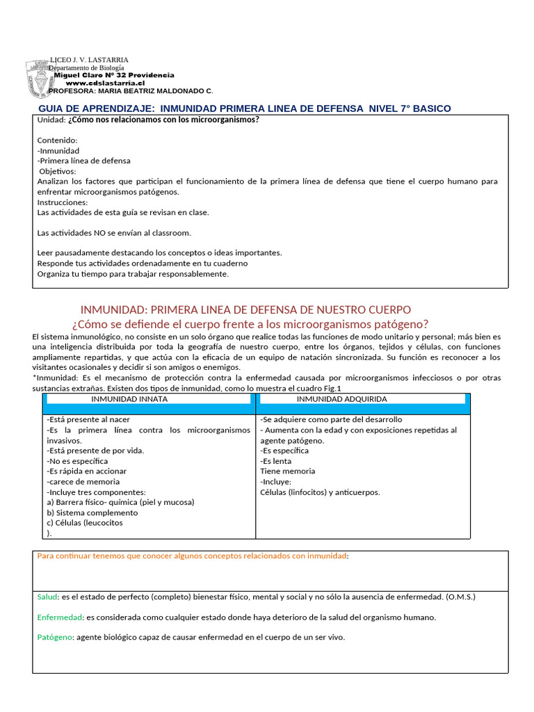 Guía Primera Linea de Defensa Inmunidad 7° | PDF | Sistema inmune ...