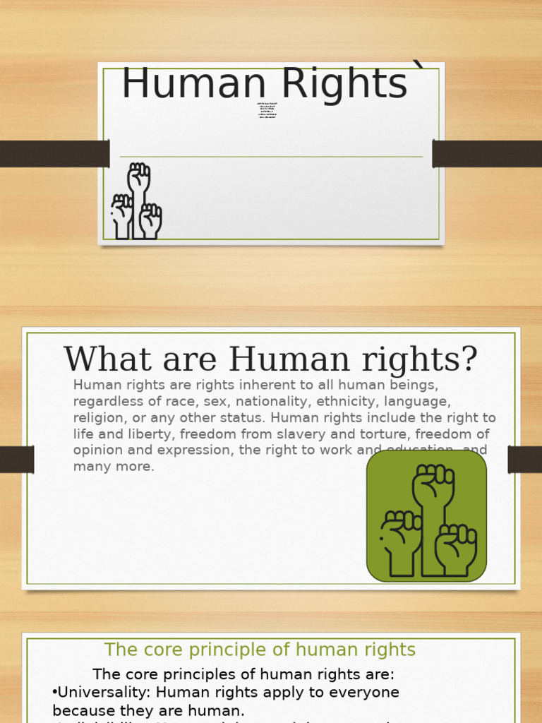 Understanding Human Rights Principles | PDF