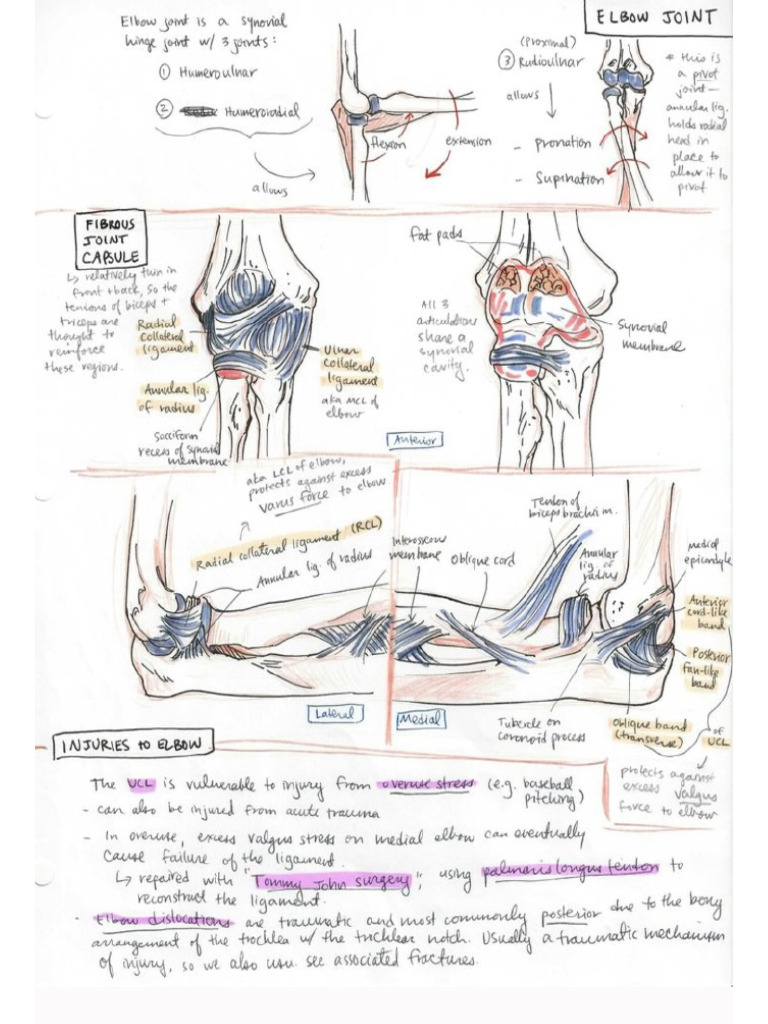 Uploads Joints | PDF