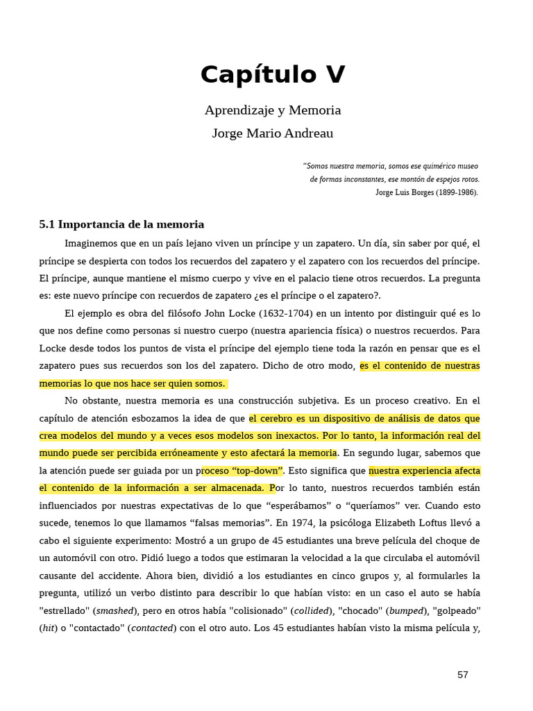 5 Aprendizaje Y Memoria Pdf La Potenciación A Largo Plazo Sinapsis