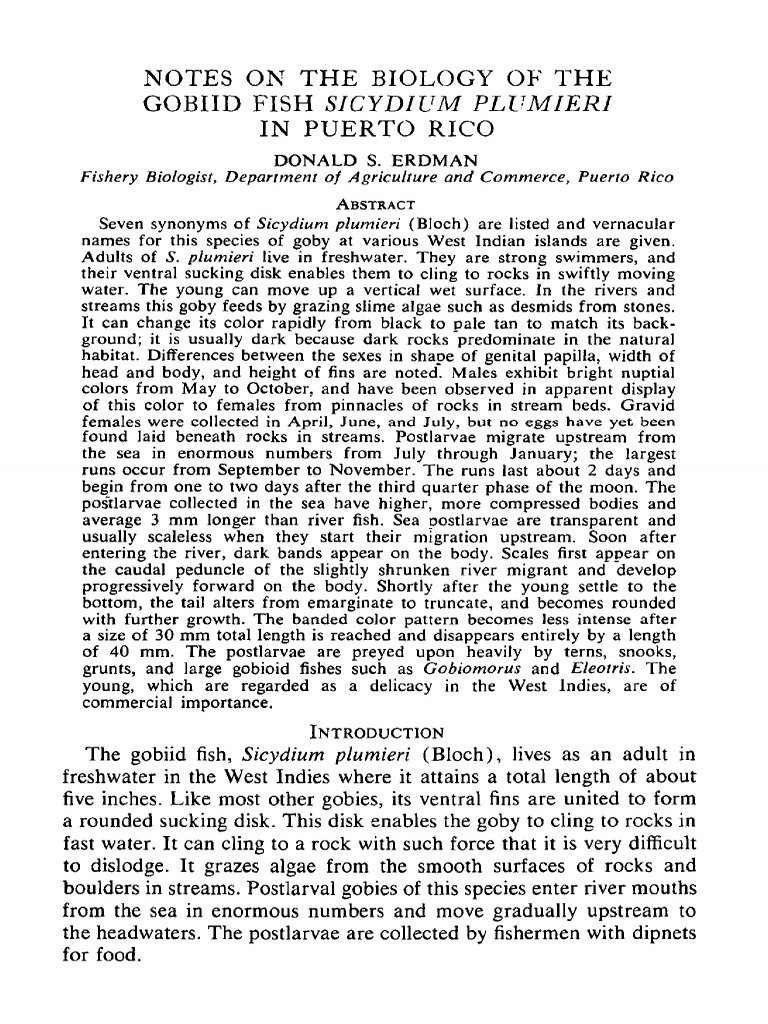 Biology of Sicydium plumieri in Puerto Rico | PDF