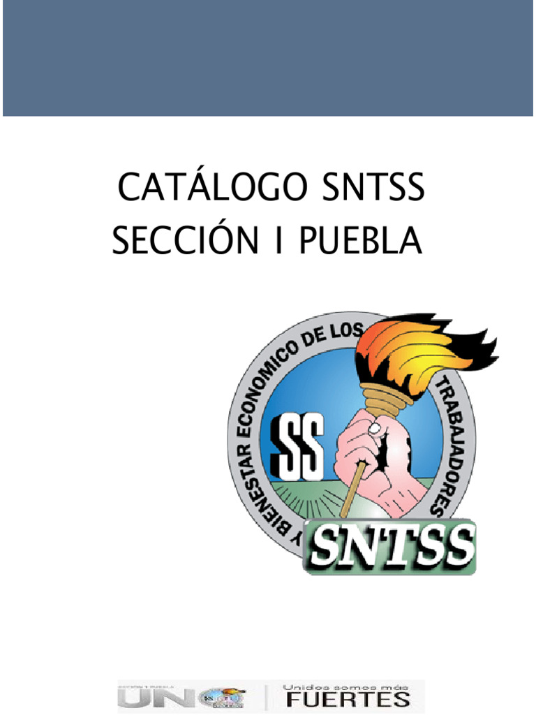 Catálogo Juguetes SNTSS 2024 | PDF | Juguetes