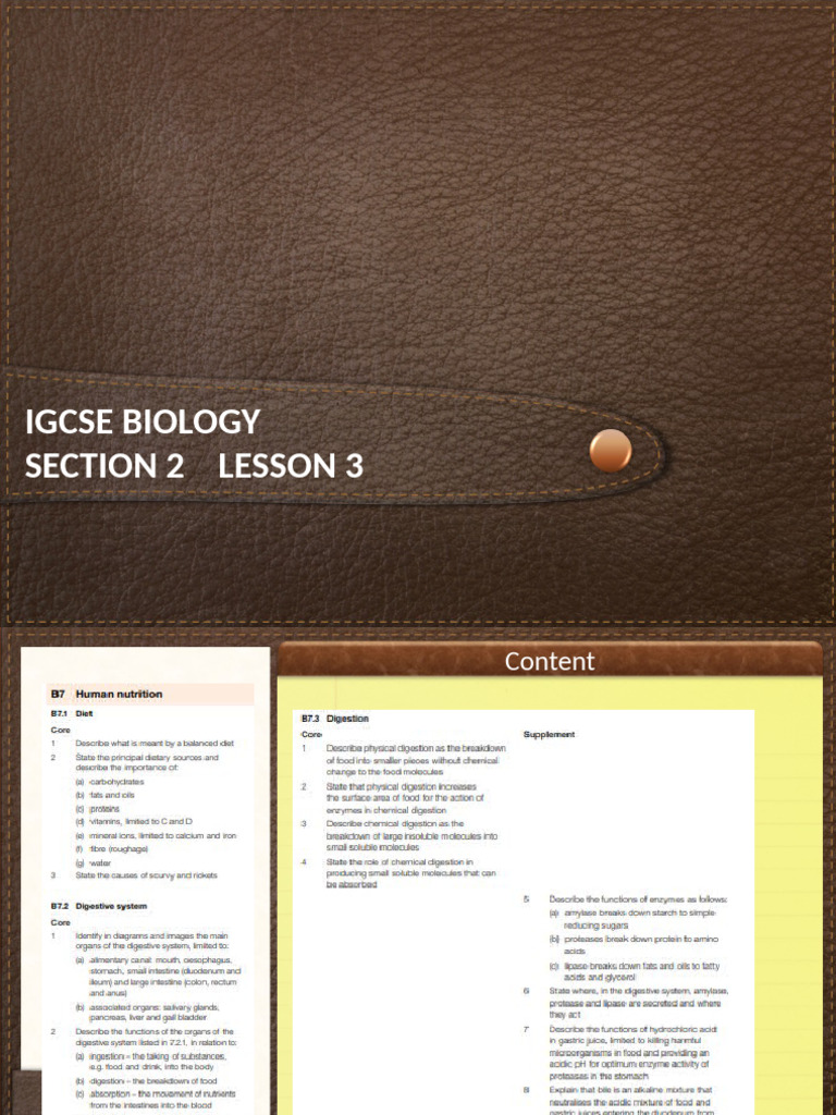 Human Nutrition Pdf Carbohydrates Digestion