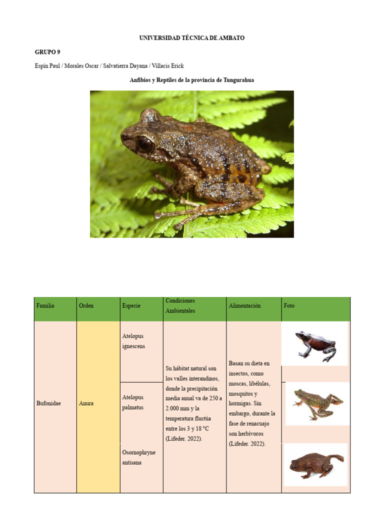 Anfibios y Reptiles en Tungurahua | PDF