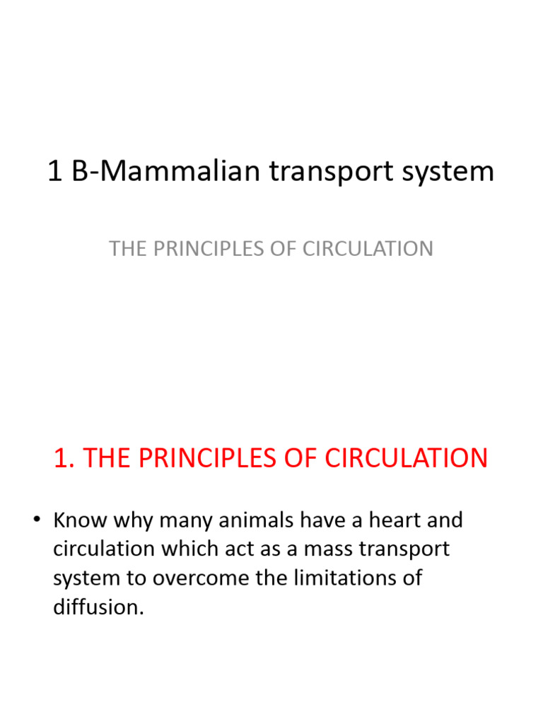 Mammalian Transport System | PDF | Artery | Hemoglobin