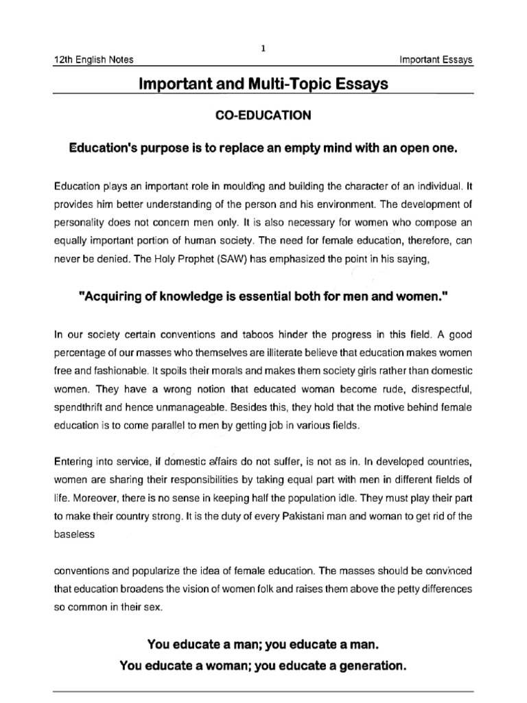 12th Class English Essays Multi Topics (Waqas Nawaz) - 1 | PDF