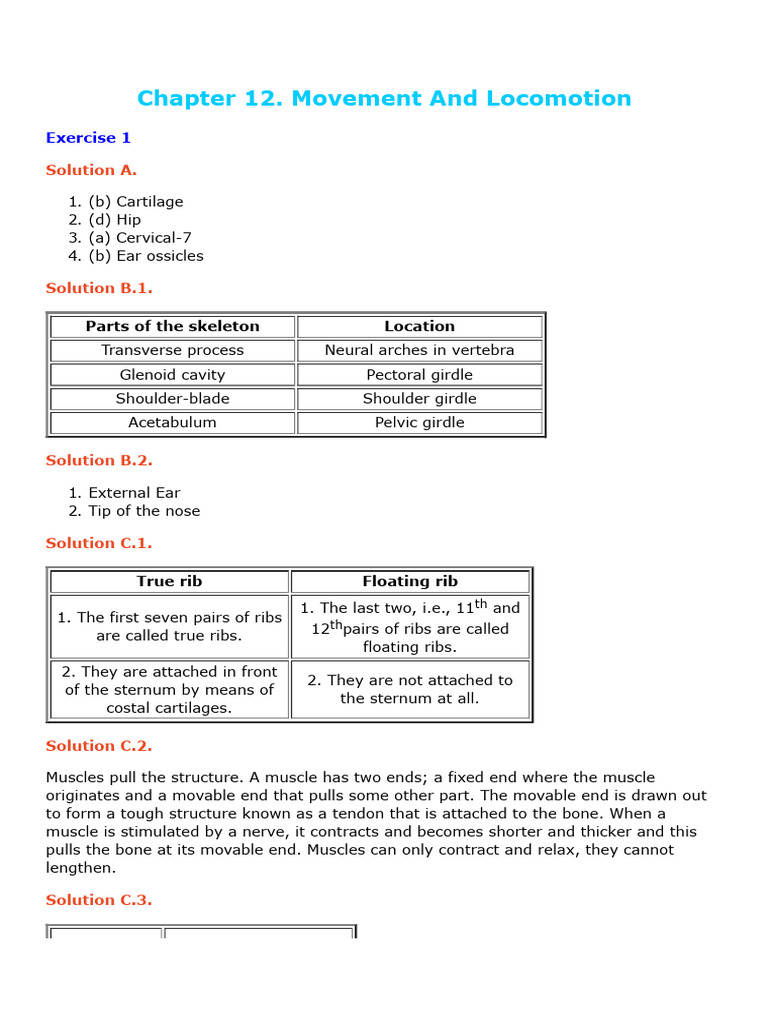 Understanding Movement and Locomotion | PDF | Bone | Skeleton