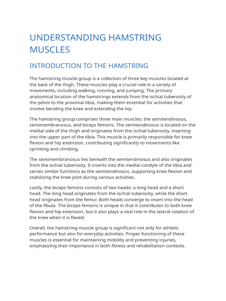 Understanding Hamstring Muscles | PDF | Knee | Musculoskeletal System