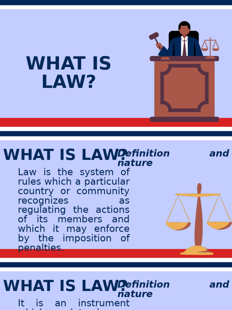 What Is Law | PDF