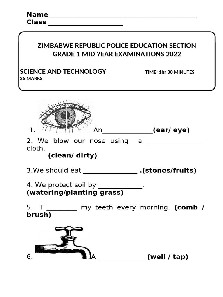 Grade 1 Science & Technology | PDF