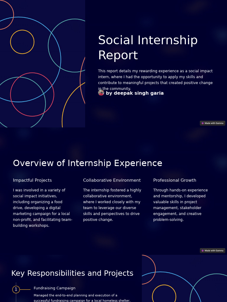 Social Impact Internship Experience Report | PDF | Leadership | Mentorship