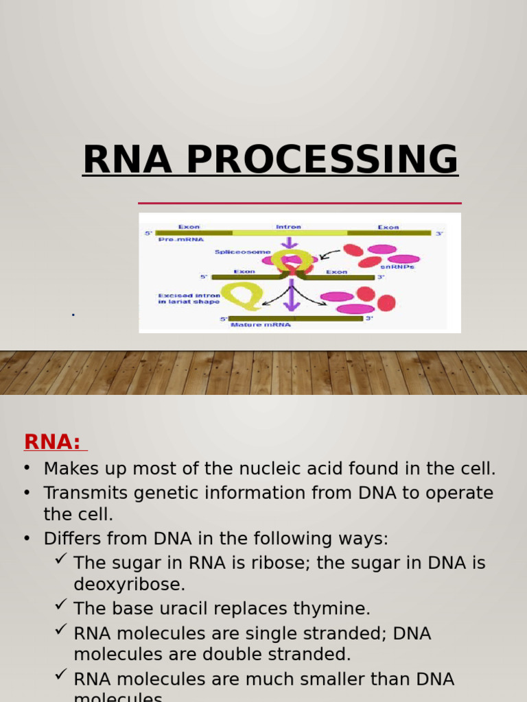 Rna Processing 1 | PDF | Rna | Messenger Rna