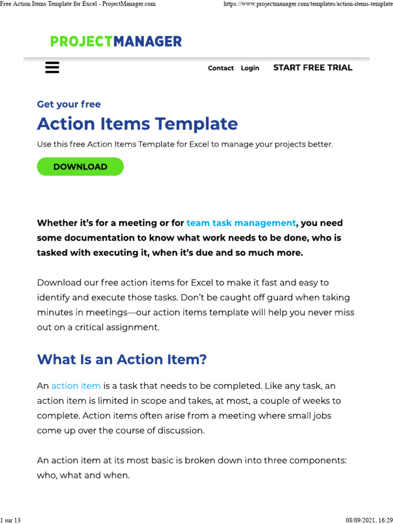 Free Action Items Template For Excel - ProjectManager | PDF