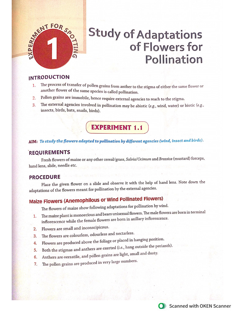 12 TH Spotting Experiment 1 | PDF