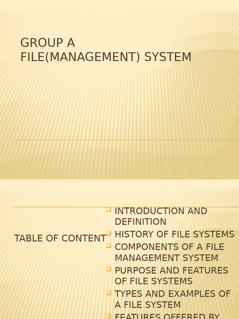 Group a Filing System | PDF | File System | Computer File