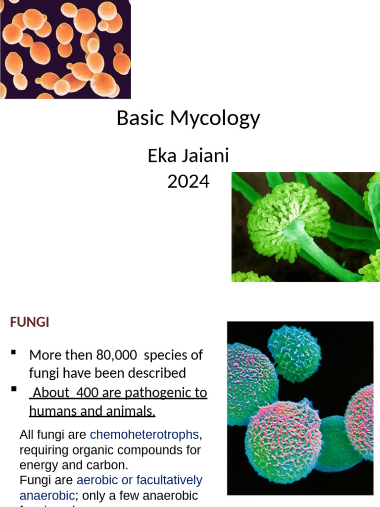 Lecture 1 Basic Mycology | PDF | Fungus | Bacteria