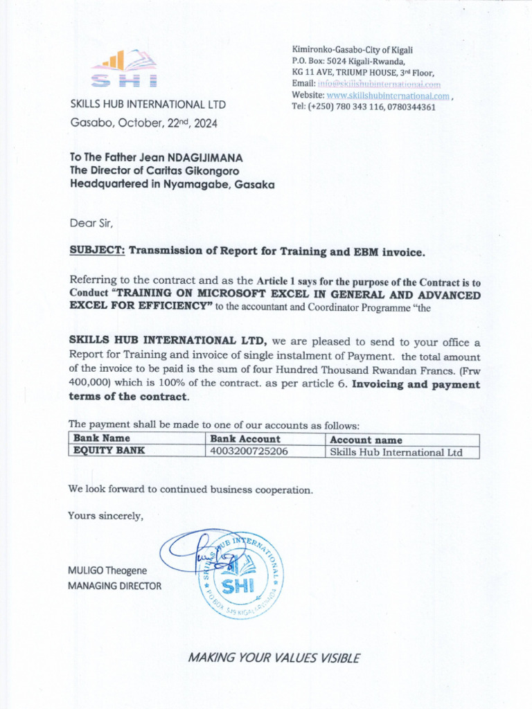 Advanced Excel Report and EBM Invoice | PDF