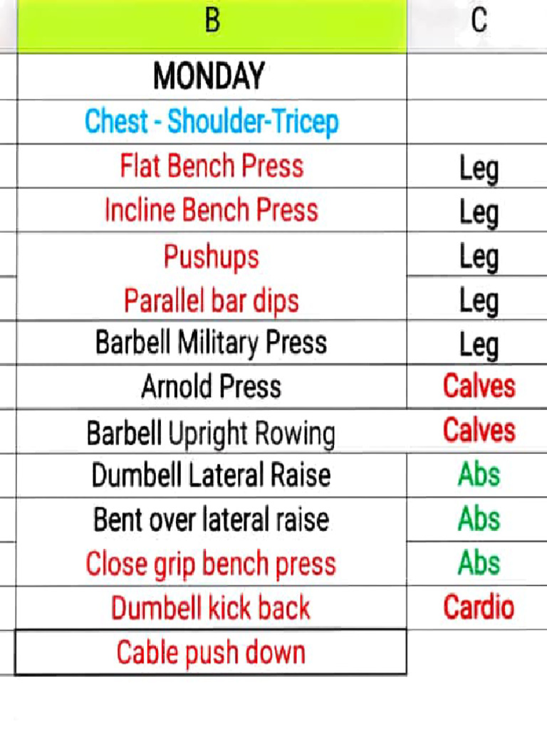 Monday Workout | PDF | Human Anatomy | Shoulder
