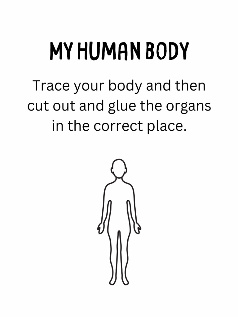 My Human Body | PDF