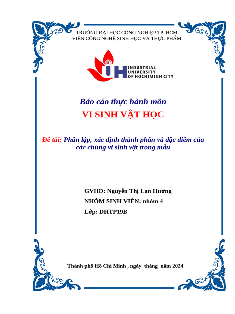 Form Báo Cáo VSVH | PDF