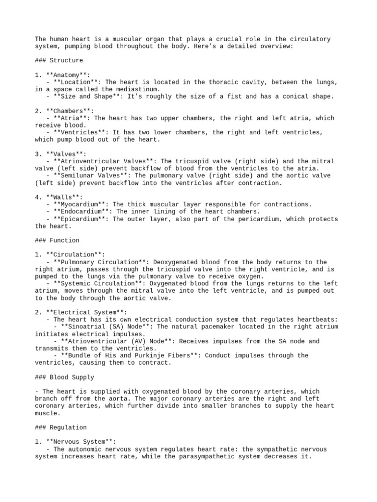 Human Heart | PDF | Heart | Heart Valve