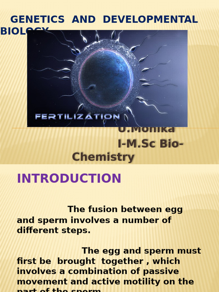 Fertilization 200908081743 | PDF | Fertilisation | Sperm