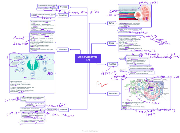Gromerulonefritis dan GNAPS | PDF