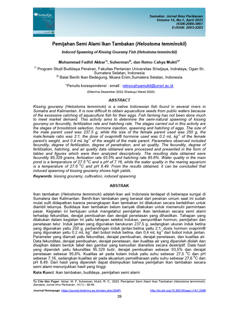 Pemijahan Semi Alami Ikan Tambakan Helostoma Temmi | PDF