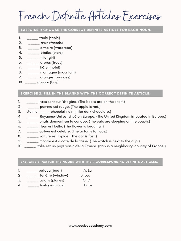 French Definite Articles Exercises | PDF