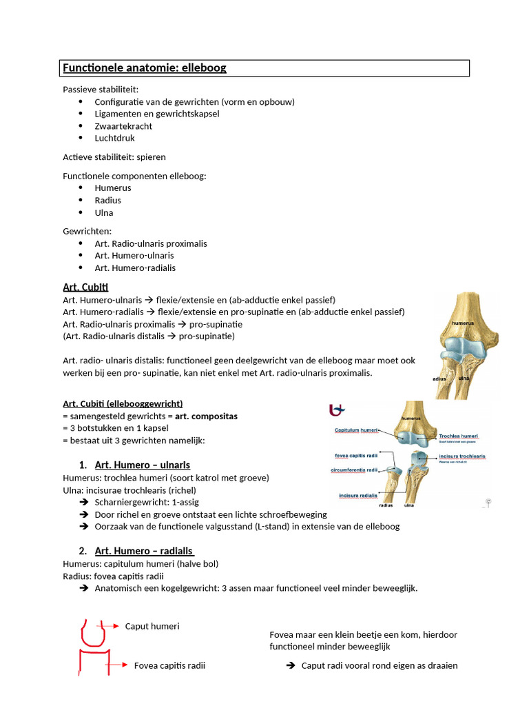 Elleboog Functionele Anatomie | PDF