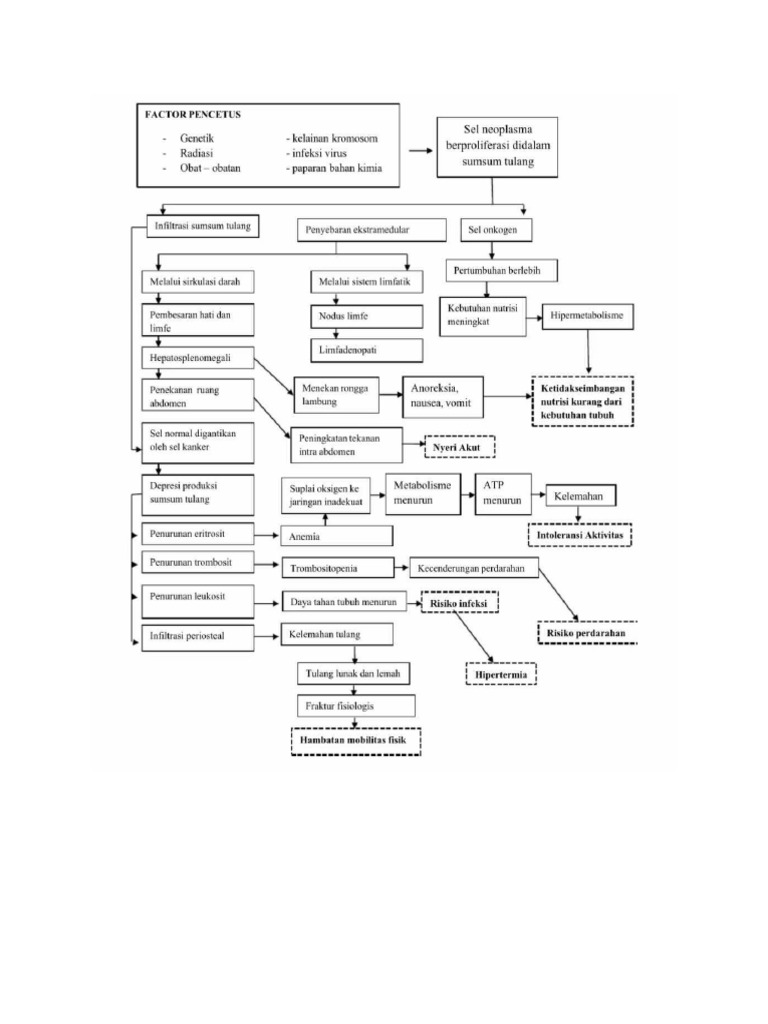 Patofisiologi Dan Pathway Leukemia | PDF