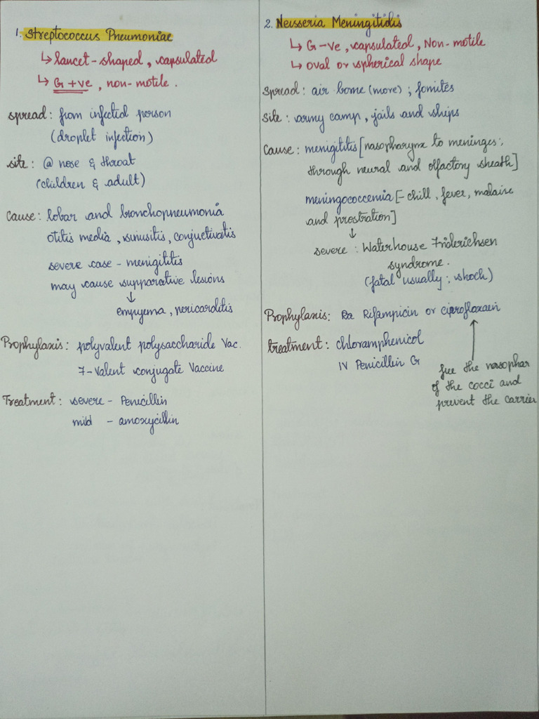 Micro Bacteria | PDF