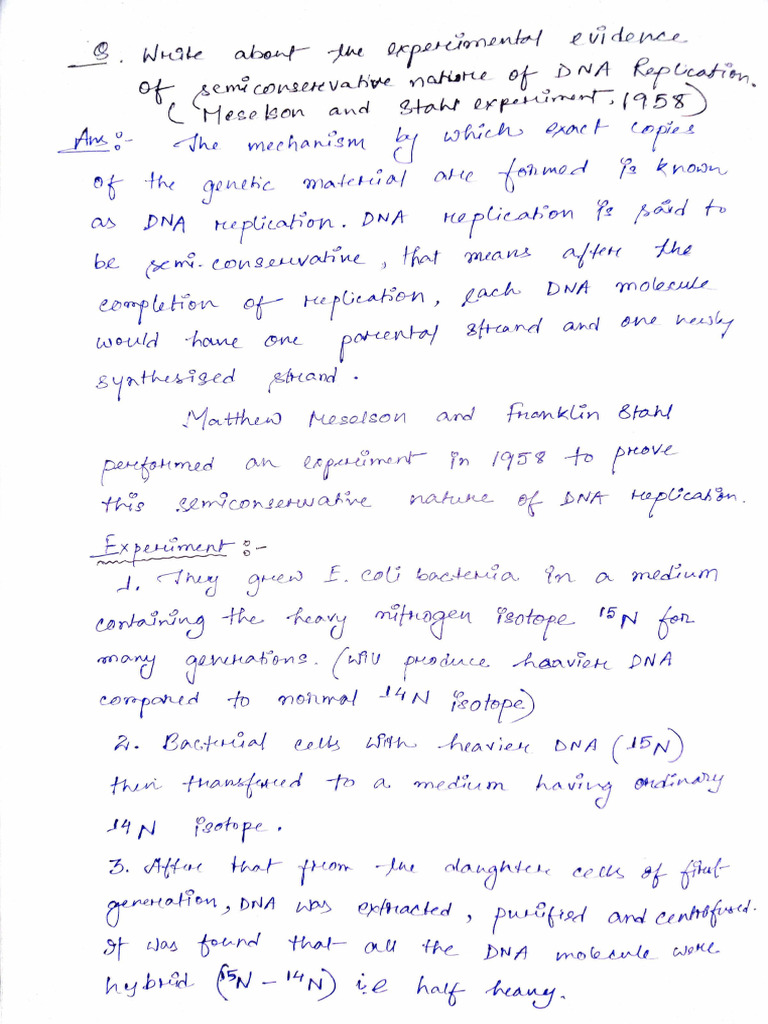 Semiconservative Dna Replication | PDF | Genetic Engineering | Biology