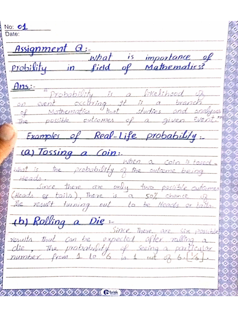 Probability Assignment | PDF