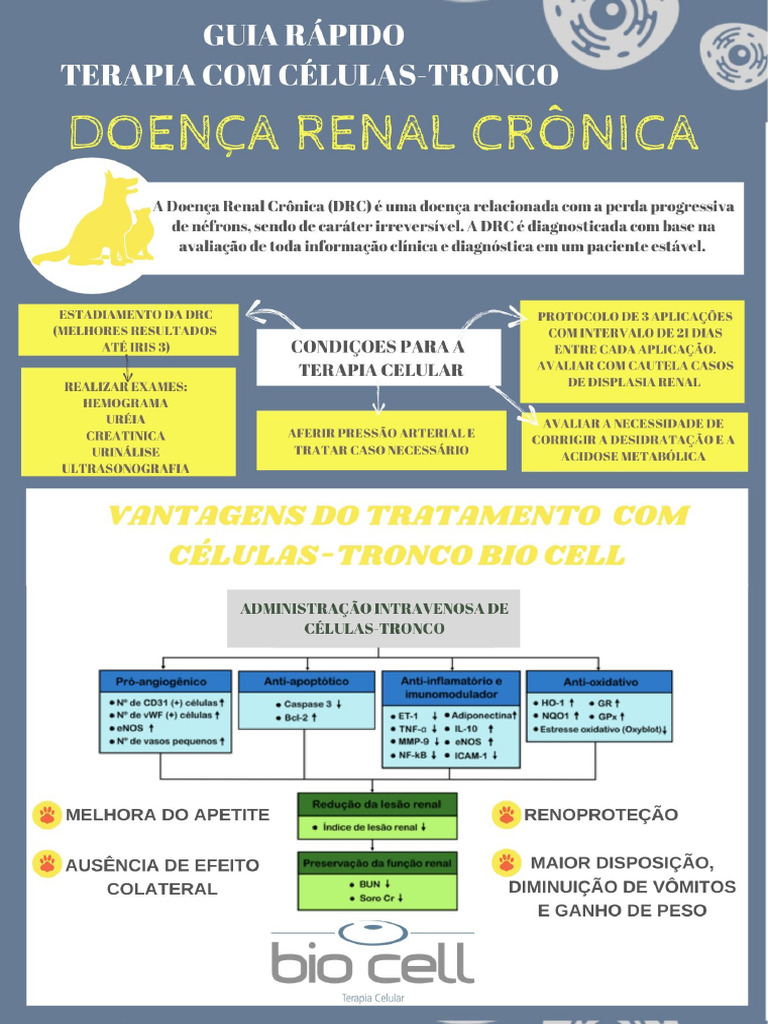 Guia+rápido+cão+e+gato+-+DRC | PDF