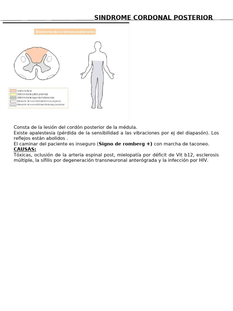 Síndrome Cordonal Posterior: Causas y Síntomas | PDF
