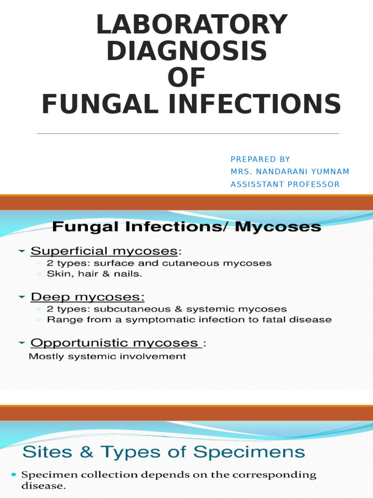 Laboratory Diagnosis of Fungal Infections | PDF