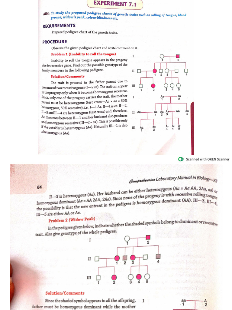 12 TH Spotting Experiment 7 | PDF