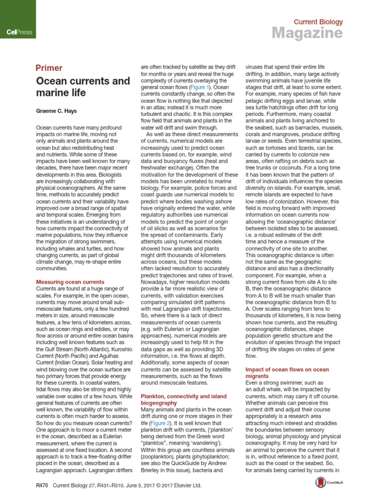 Ocean Currents & Marine Life Impact | PDF | Oceans | Plankton