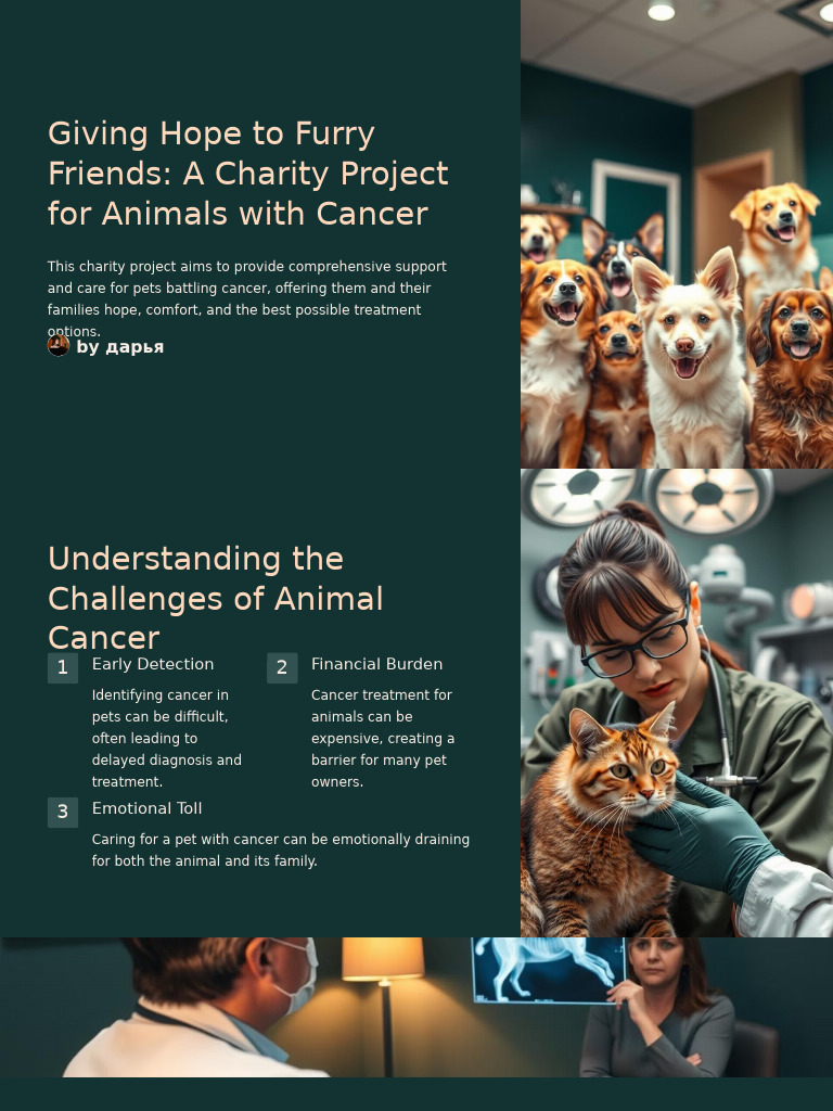 Giving Hope To Furry Friends A Charity Project For Animals With | PDF ...