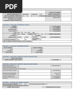 Miss Punch Format | PDF