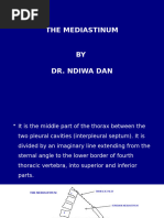 Thorax Anatomy Diagrams Overview | PDF