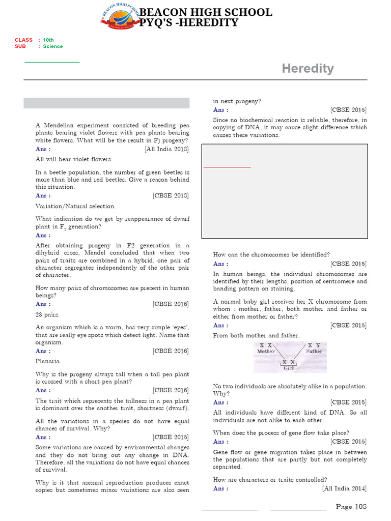 20240601-Pyq's Heredity Class 10th | PDF | Heredity | Dominance (Genetics)