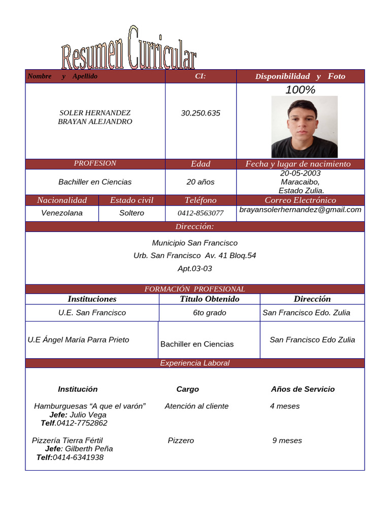 Curriculum Brayan | PDF