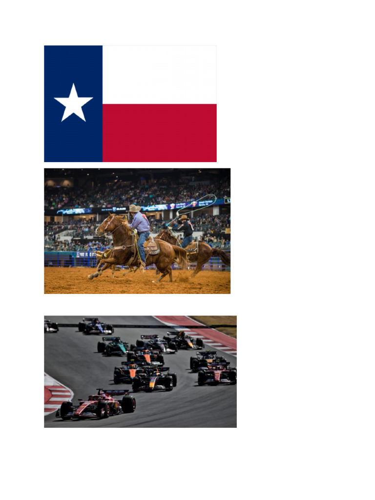 Texas | PDF