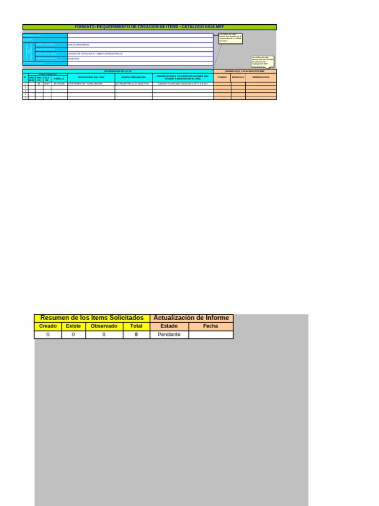 Cateter Intraventricular Codigo Siga | PDF