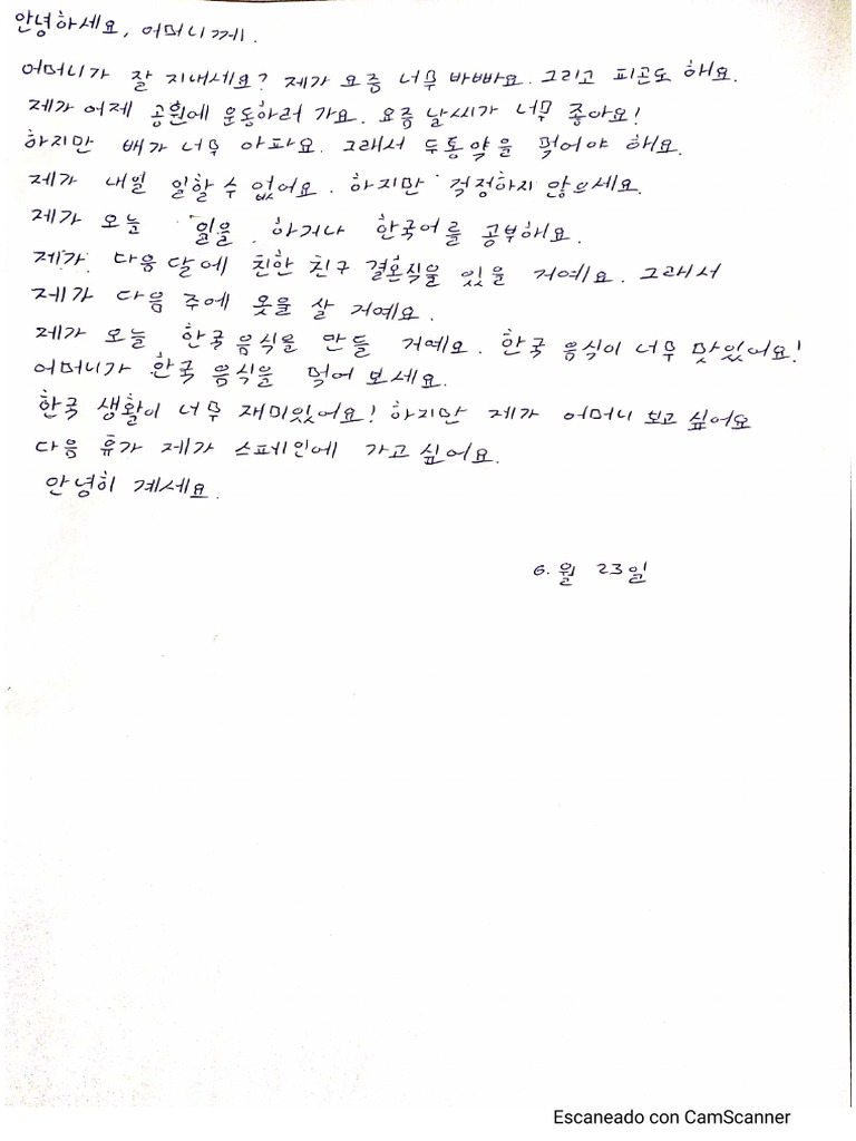 Coreano Examen | PDF