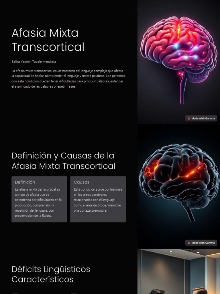 Afasia Mixta Transcortical | PDF