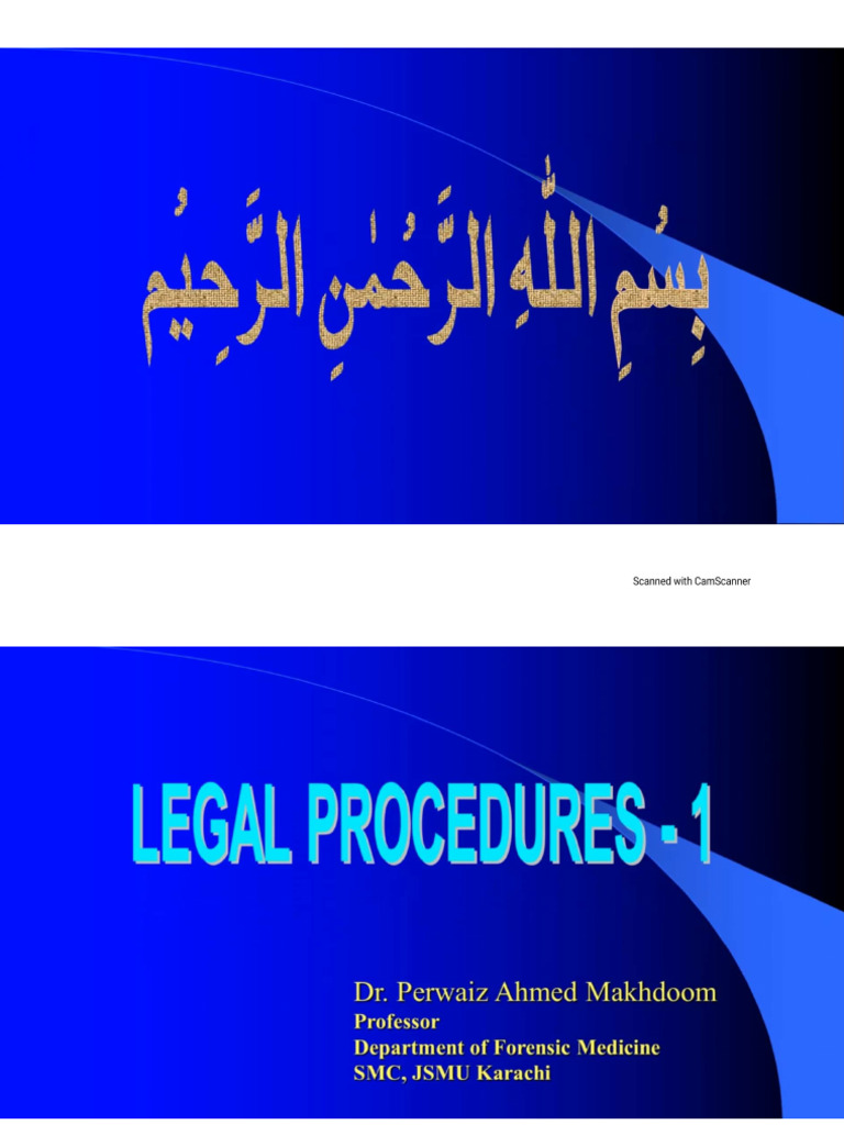 Legal Procedures | PDF