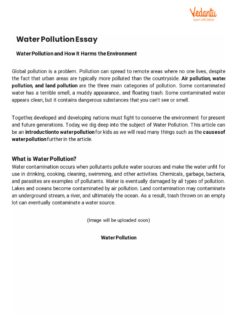 Water Pollution Essay | PDF